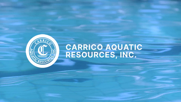 BECS Chemical Controllers for Commercial Pools | Carrico Aquatic ...